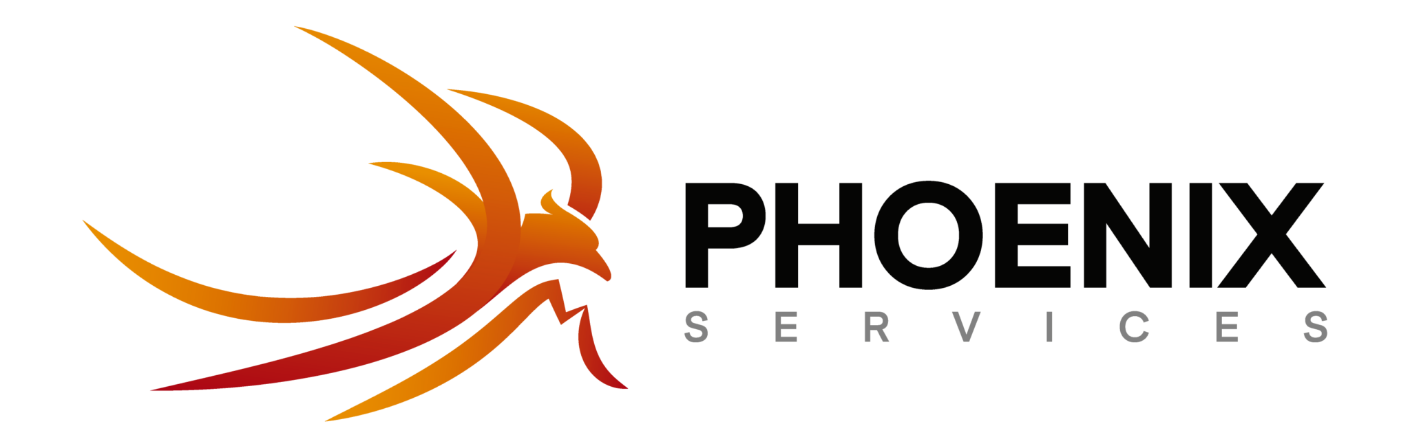 Phoenix Services – Industrial Inspection & Maintenance Experts
